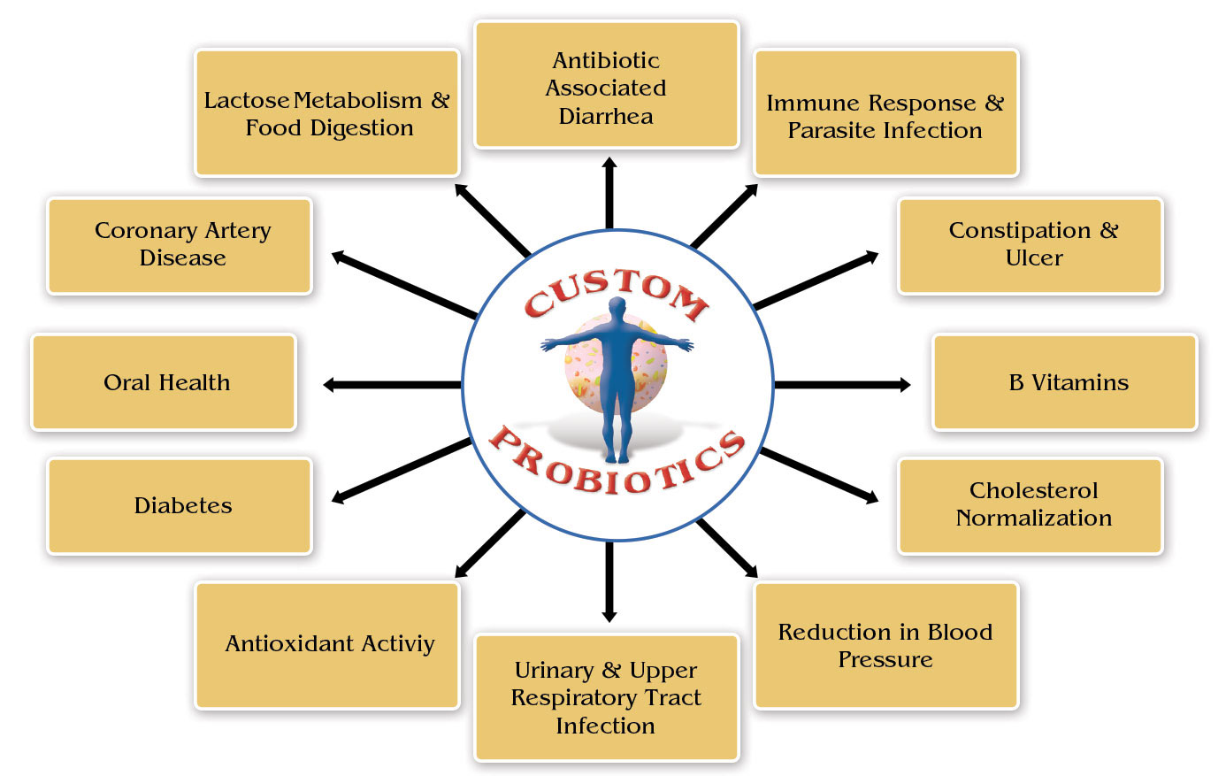 Highest Potency Probiotic Supplement